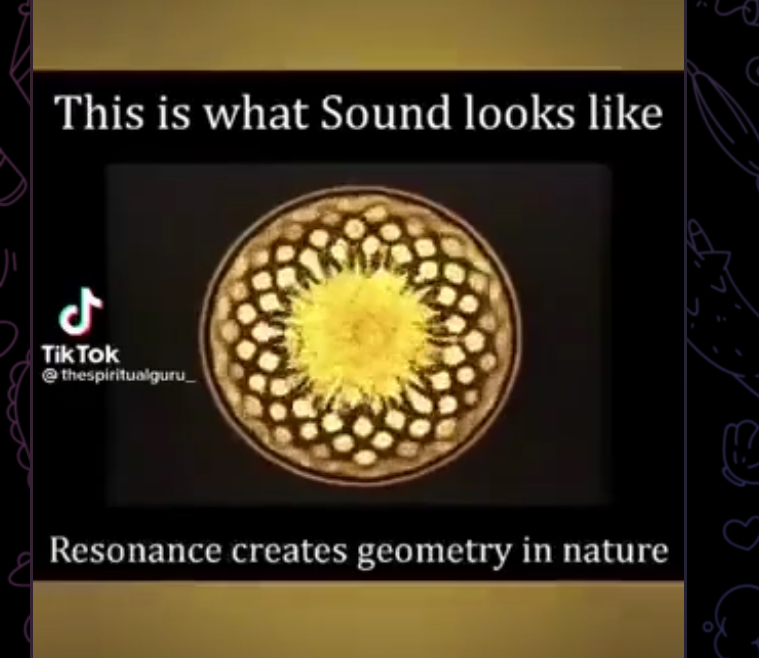 Seeing Sound | Prosoundtraining